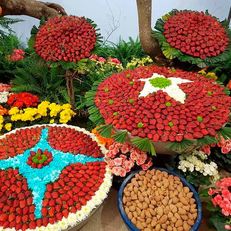 Festa do Morango no Interior de SP: tudo o que você precisa saber